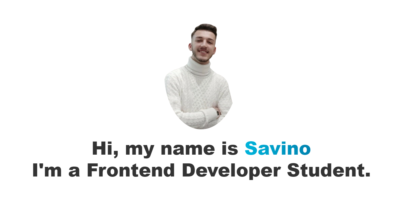 Savino Lanotte - Portfolio